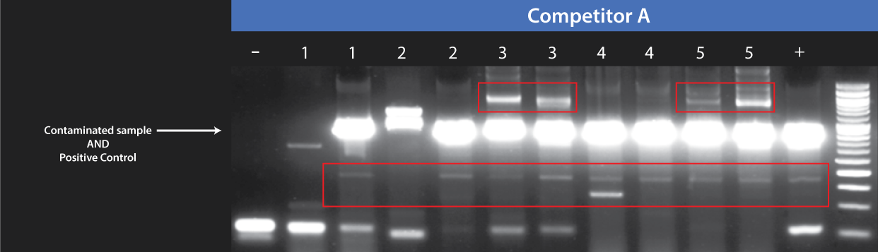 Performance Comparison - G238 & G239 | Applied Biological Materials Inc.