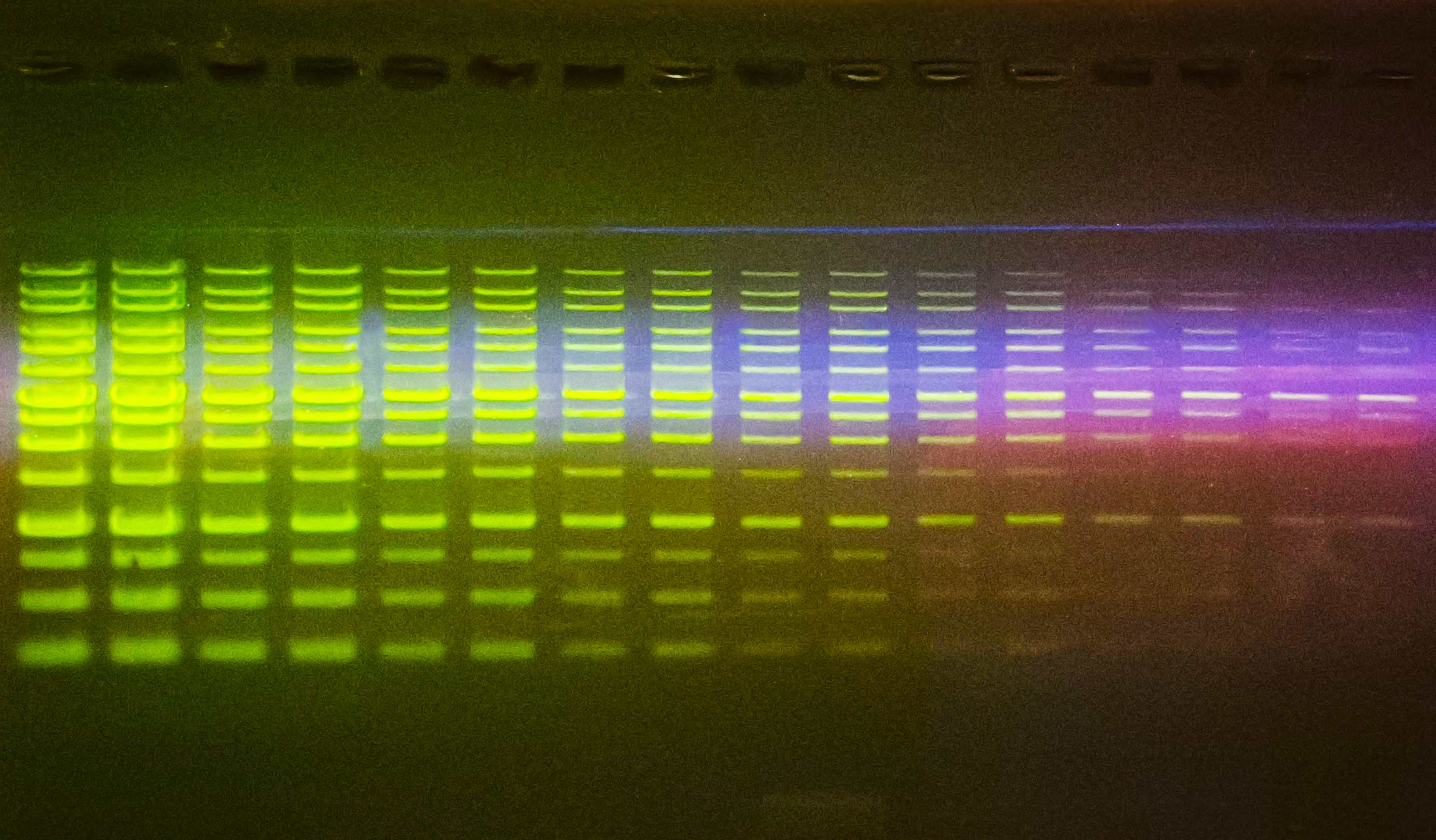 SafeViewER™ Imager Gel Documentation System | Applied Biological ...