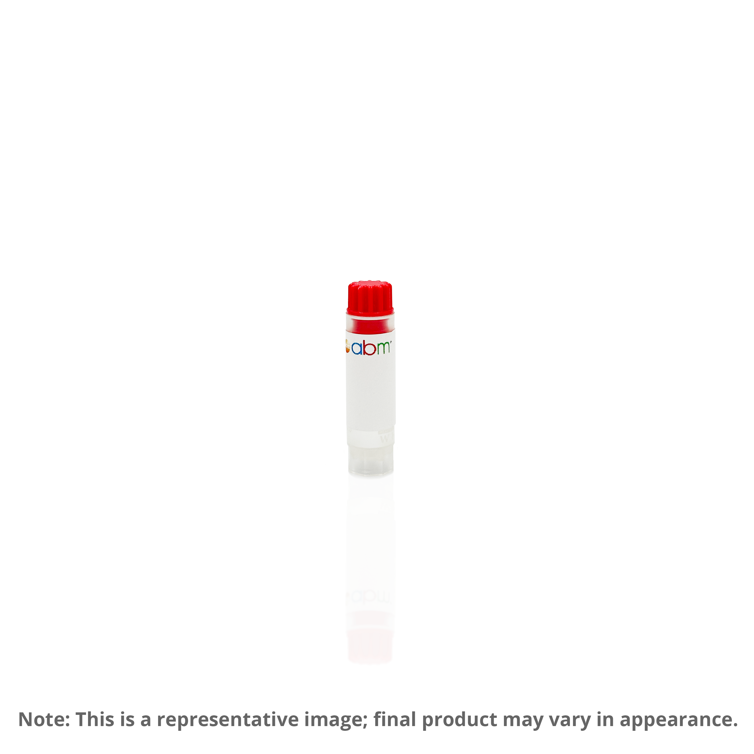 Dual Notch1 (Variant) -YFP and Inducible Delta-mCherry Reporter CHO-K1 ...