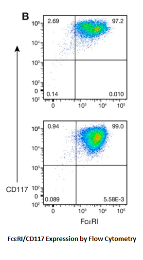 Human Mast Cell Line (LADR) ; Capable of histamine release ...