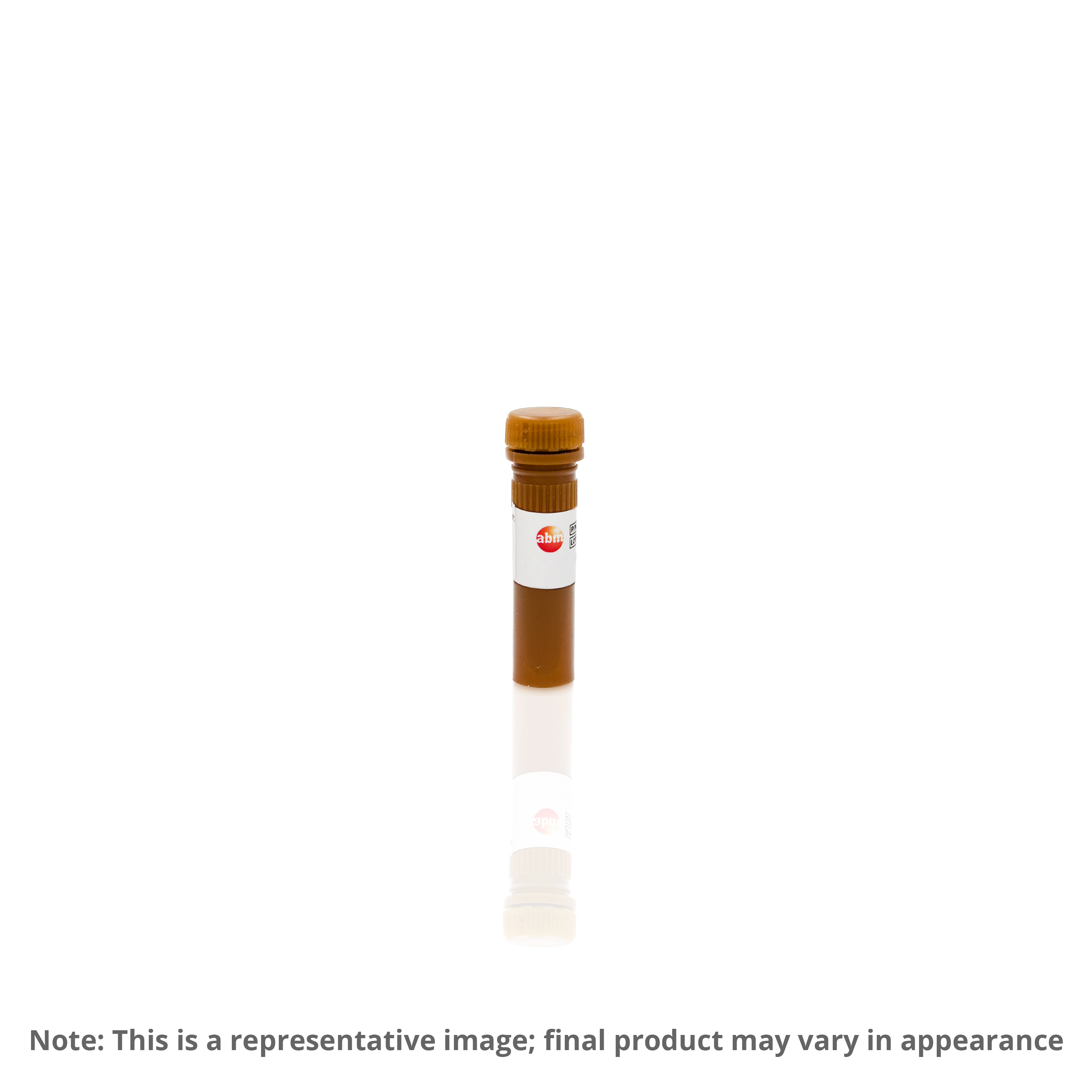 Bromophenol Blue | Applied Biological Materials Inc.