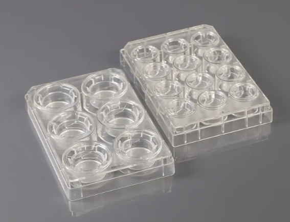 12 Cell Culture Inserts in 12-Well Plate, 0.4 µm PC Pore Size | Applied ...